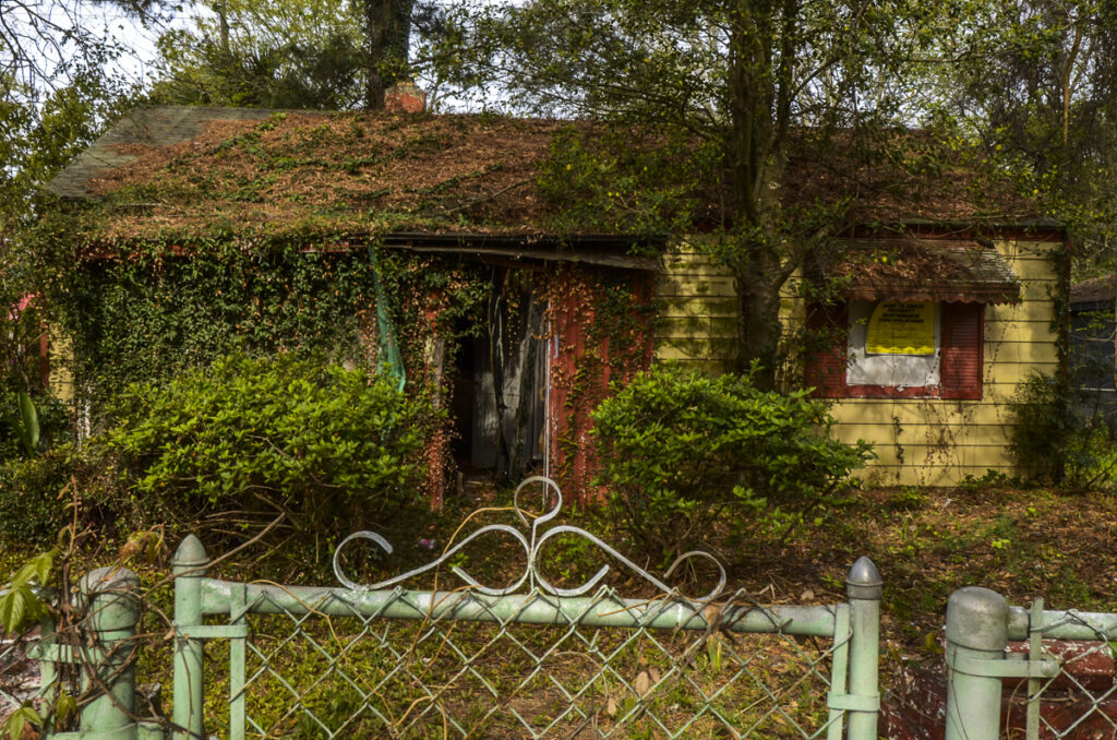 Savannah Blight, Civic Data Science for Equitable Development – Friendly Cities Lab